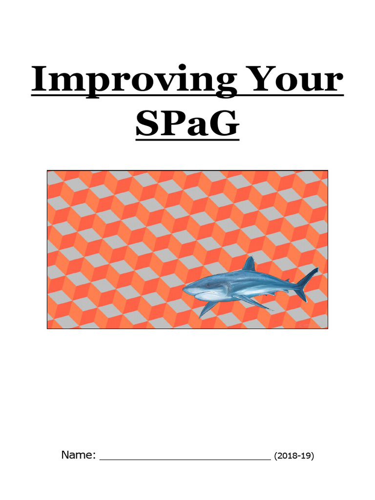 Improving Your SPaG | PDF
