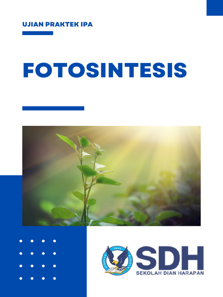 Modul Percobaan Fotosintesis | PDF Modul Percobaan Fotosintesis | PDF