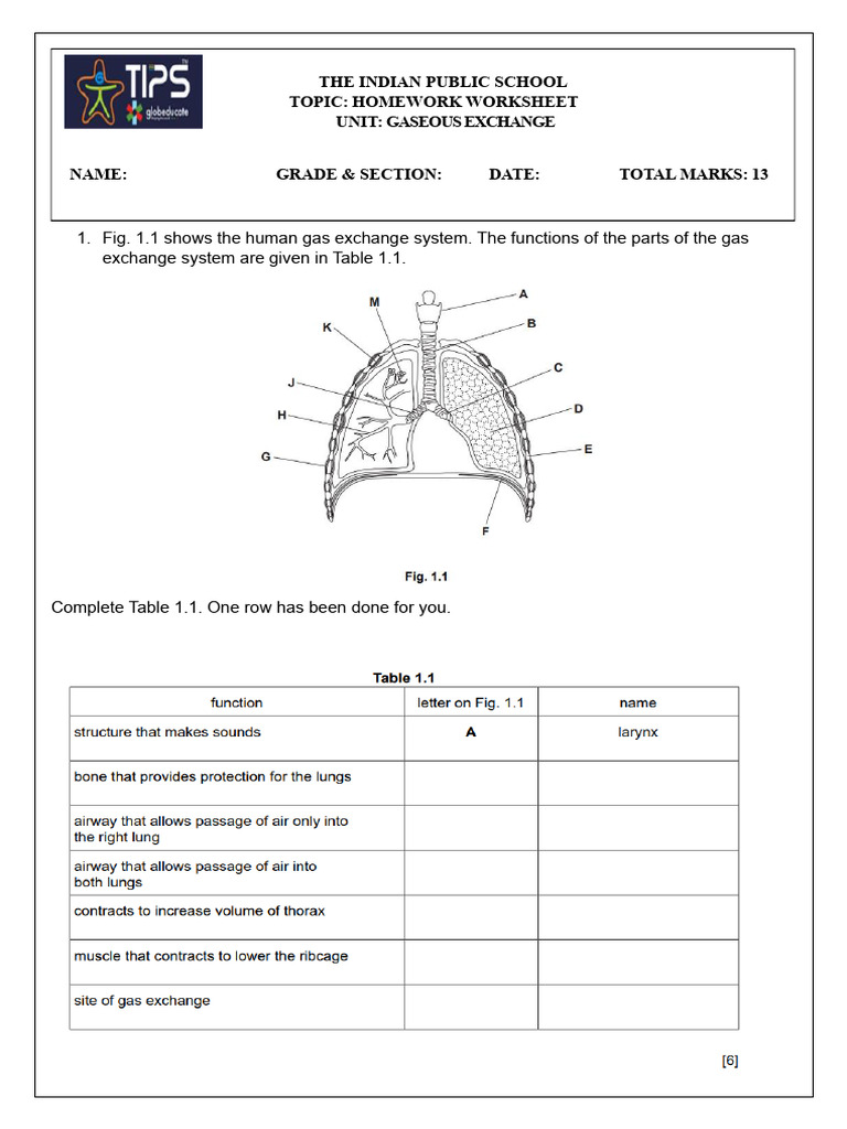 Grade 9 HW - Worksheet - Unit-3 | PDF | Chemistry | Physiology