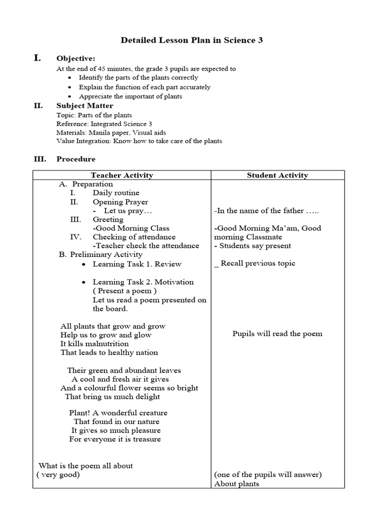 Lesson Plan 1st Year | PDF | Language Arts & Discipline | Home & Garden