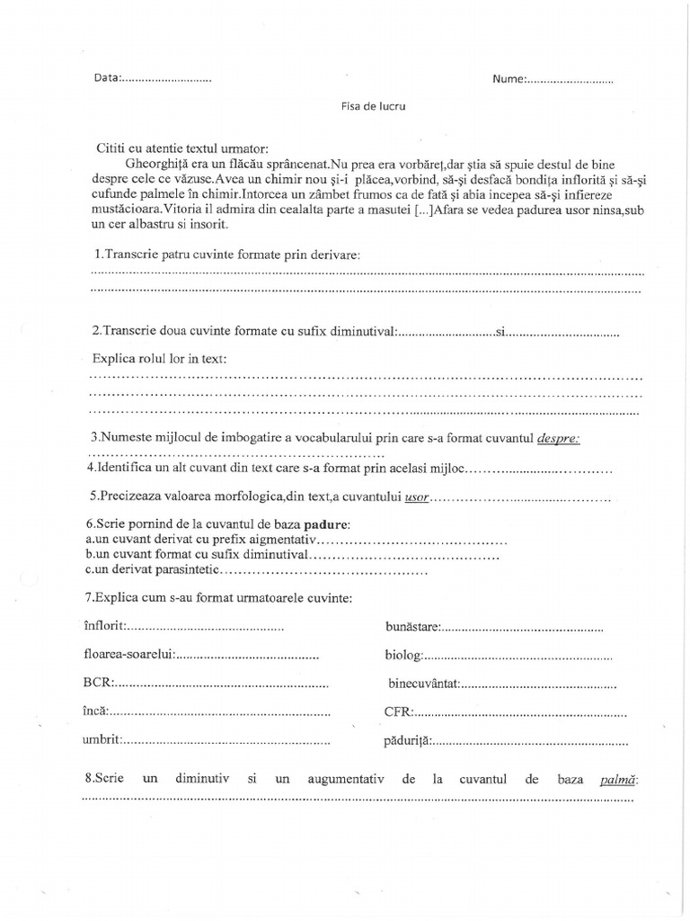 Fisa de Lucru - Roiban Dana - Ro - SC Reghin | PDF