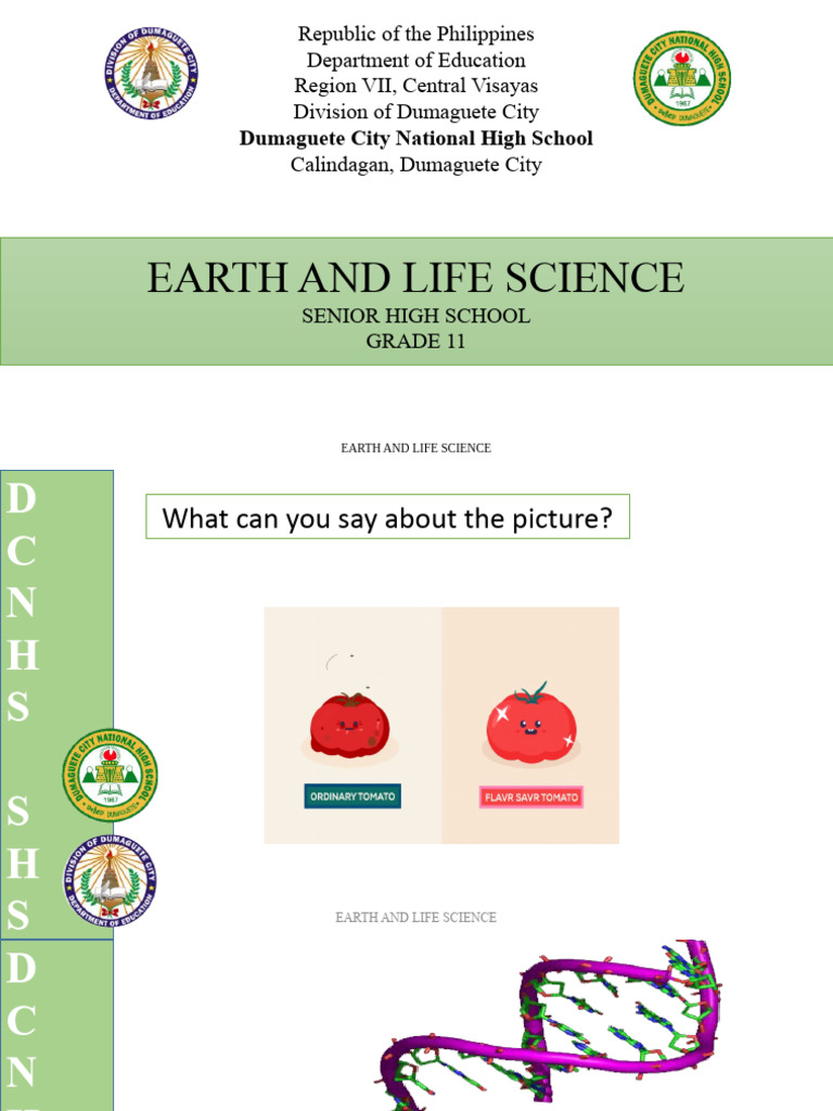 Genetic Engineering in Grade 11 Science | PDF | Genetic Engineering | Genetically Modified Organism