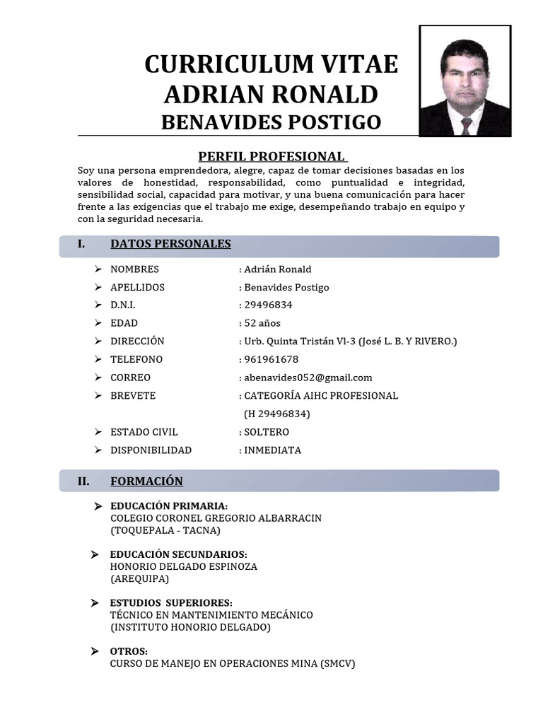 Currículum Vitae de Adrián Benavides | PDF