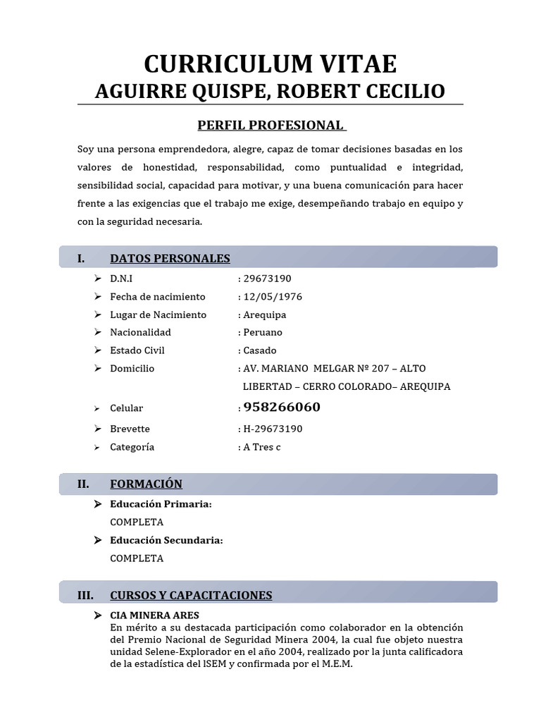 Curriculum Vitae Aguirre Quispe, Robert Cecilio | PDF