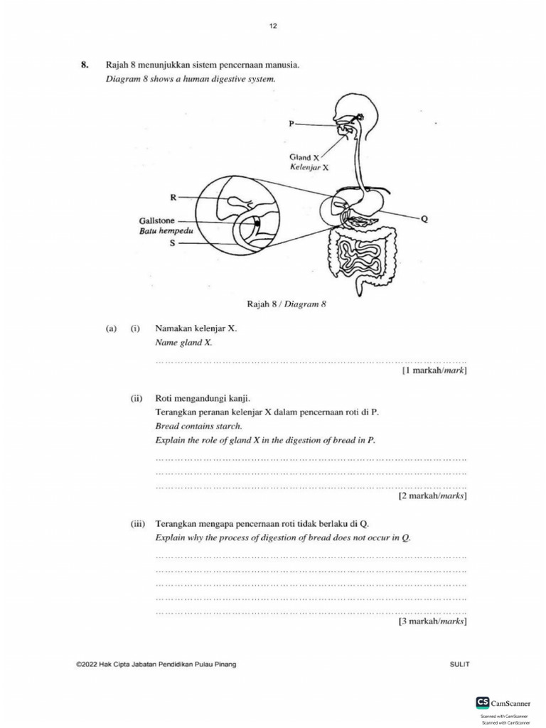 Bab 9 t4 Trial Biologi 2022 | PDF