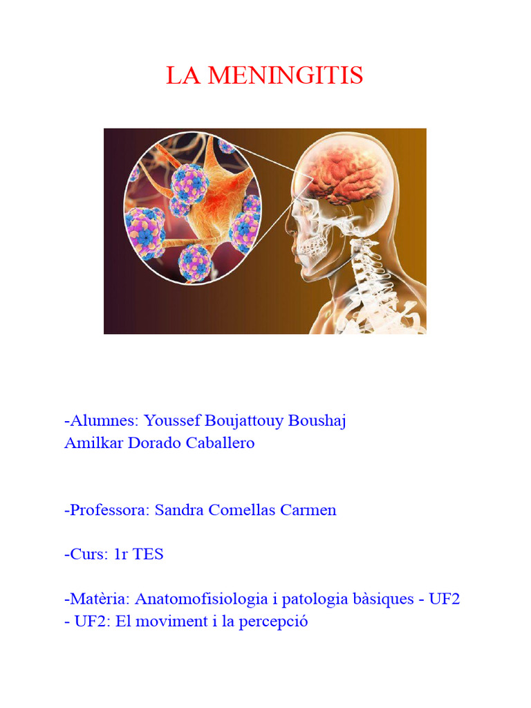 La Meningitis | PDF