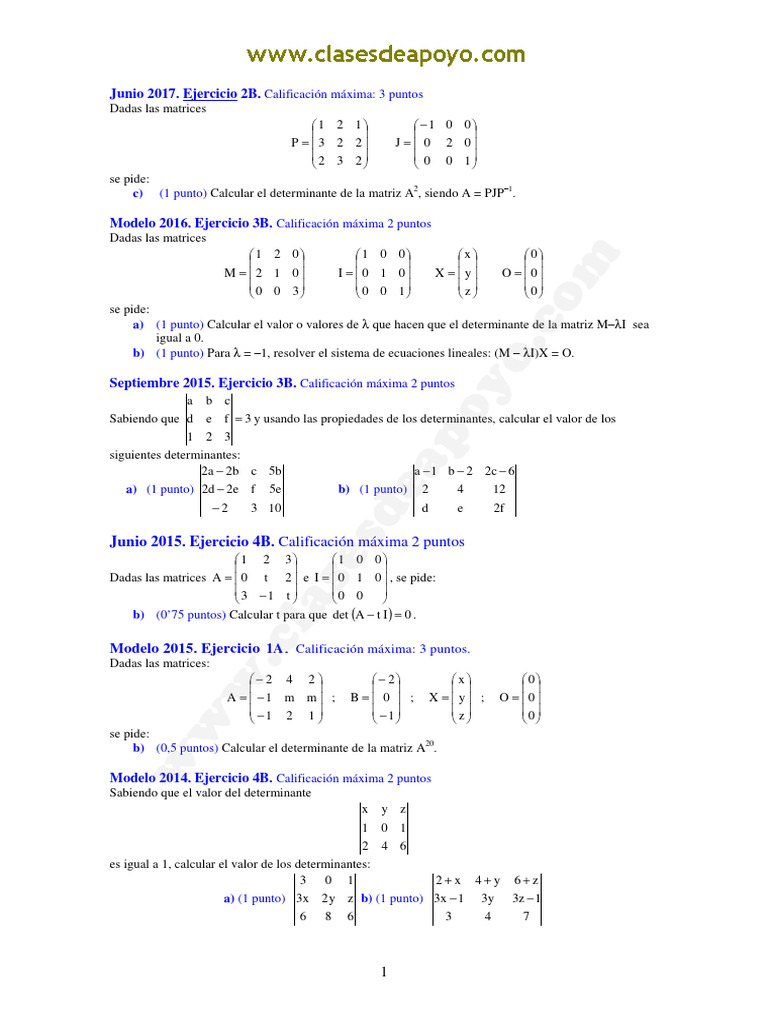 Ejercicios Matrices Selectividad 2 | PDF