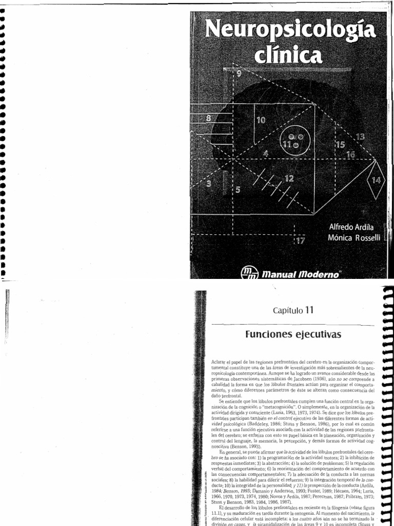 Ardilla Rosselli CAP 11 Funciones Ejecutivas | PDF