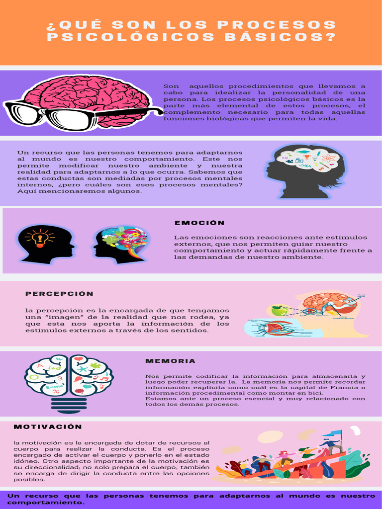 ¿Qué Son Los Procesos Psicológicos Básicos - 20240108 - 122732 - 0000 | PDF | Sicología | Memoria