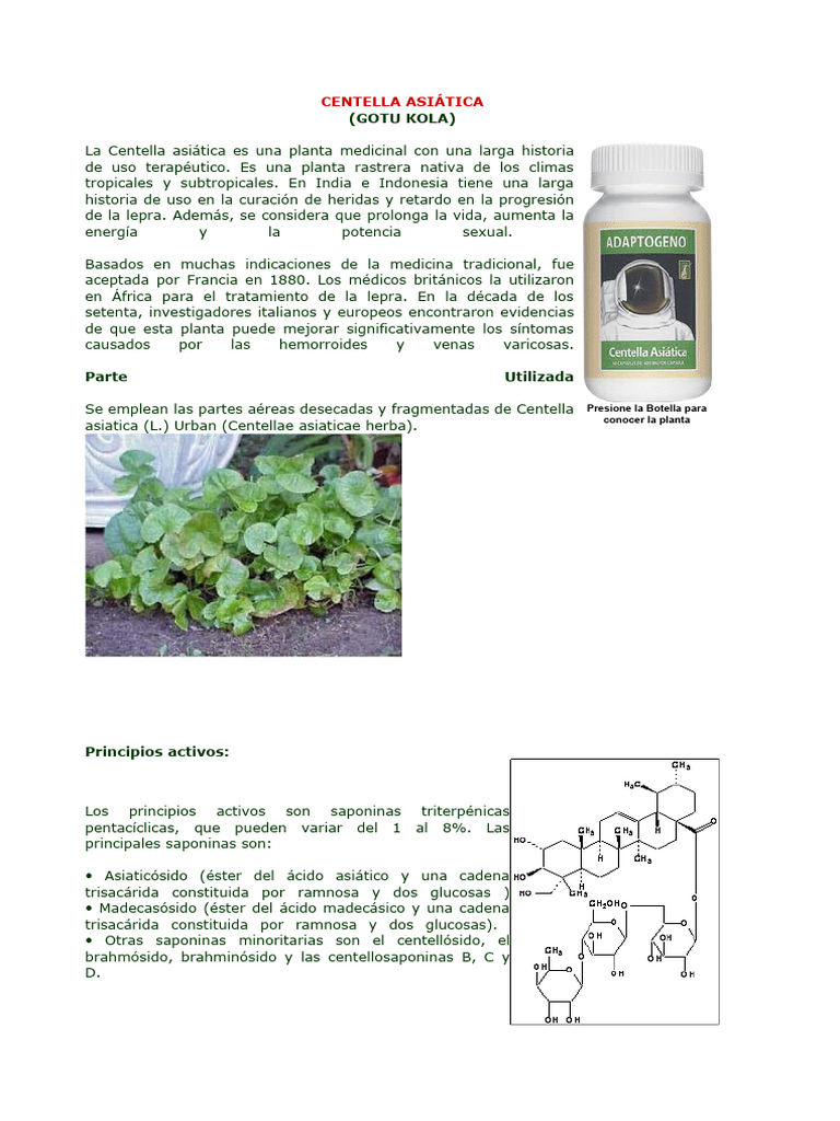 Centella Asiática: Propiedades y Usos | PDF