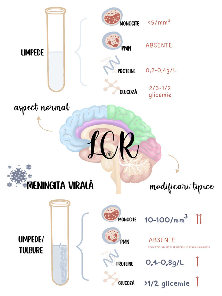 Aspect Normal: Meningita Virală | PDF