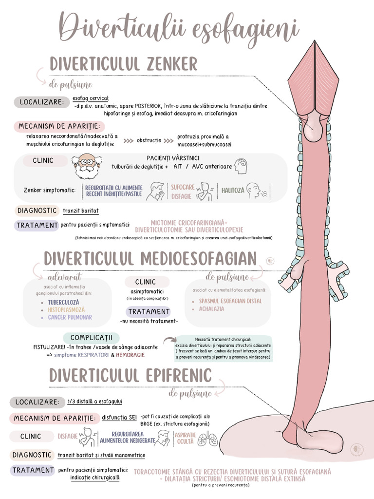 Diverticuli Esofag | PDF