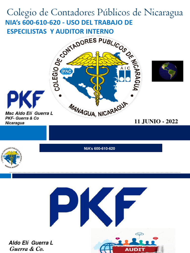 NIA 600 | PDF | Auditoría | Contador