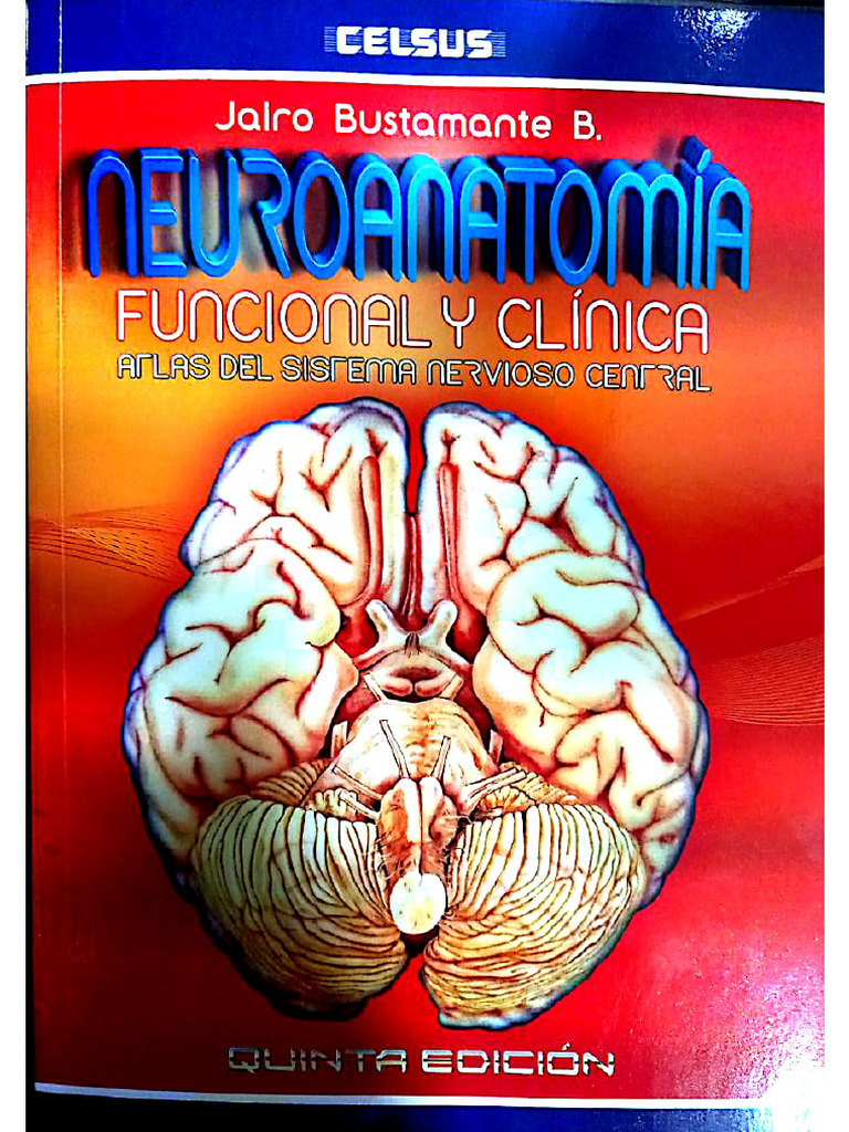Neuroanatomia Funcional - Jairo Bustamante 5 Edición | PDF