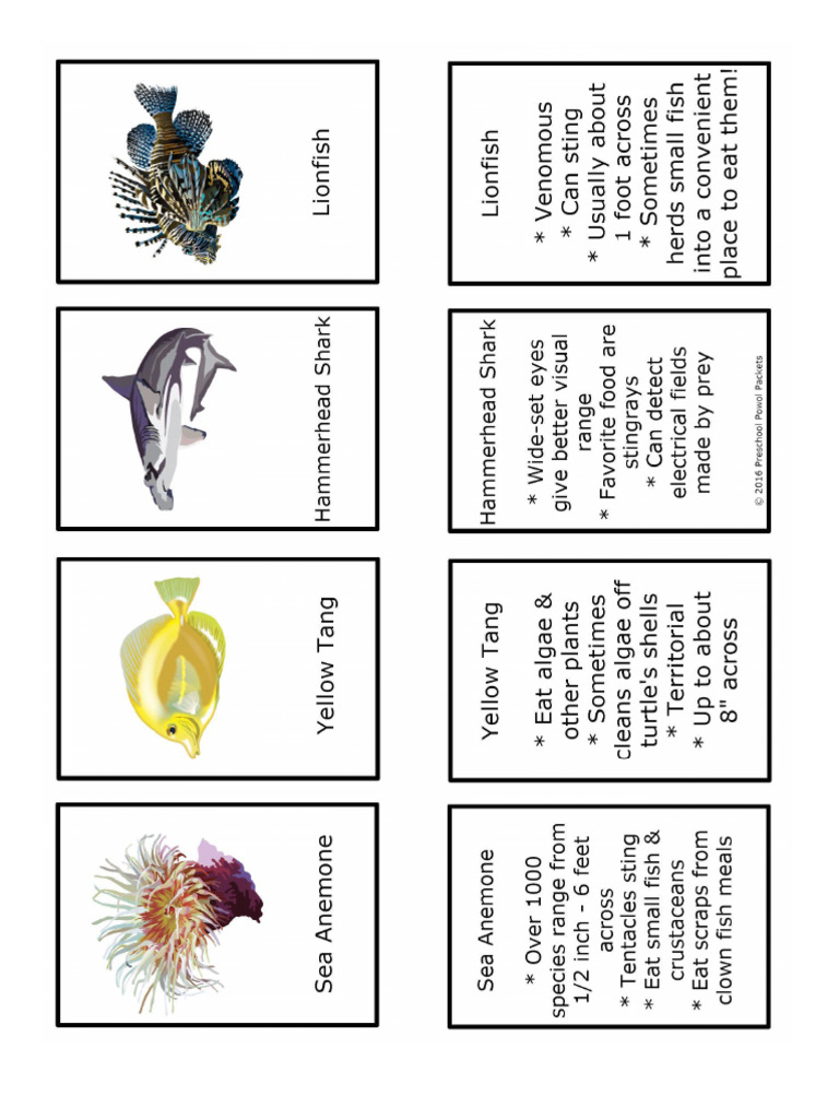 Ocean Biome Plants and Animals | PDF