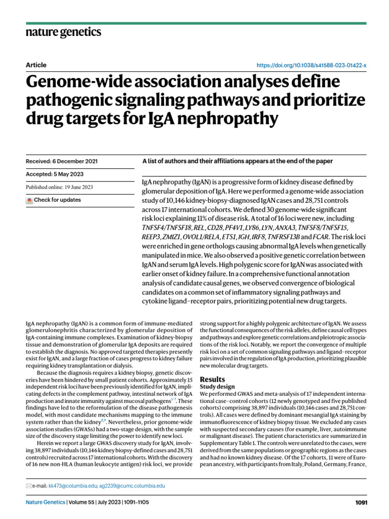 IgA Nephropathy GWAS Identifies Drug Targets | PDF