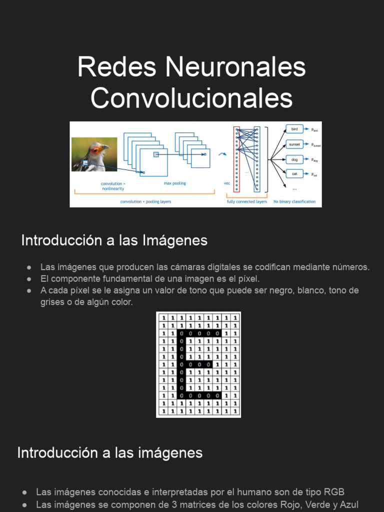 Redes Neuronales Convolucionales | PDF