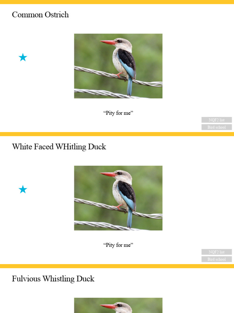 Advanced Birding Core 1 | PDF