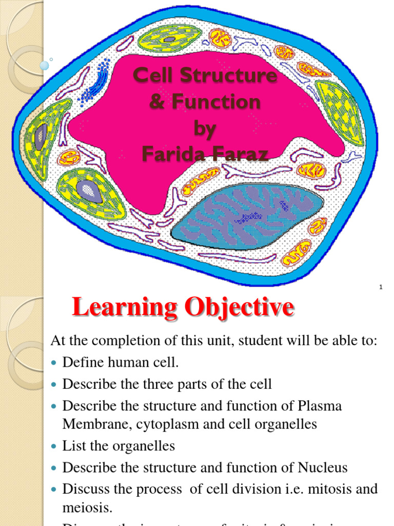 Cell Structure and Function | PDF
