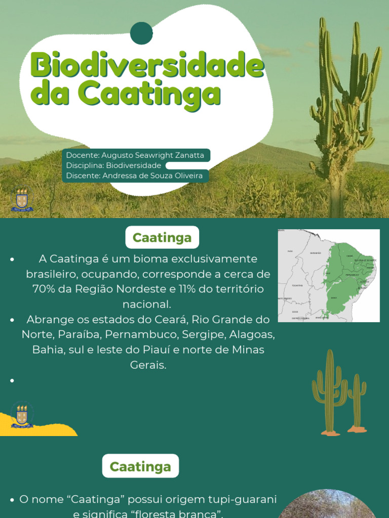 Andressa Oliveira - Slides Biodiversidade Da Caatinga | PDF | Seca
