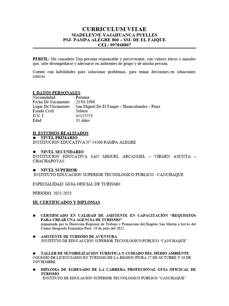 Modelo Curriculum Vitae | PDF | Crecimiento personal y profesional | Negocios