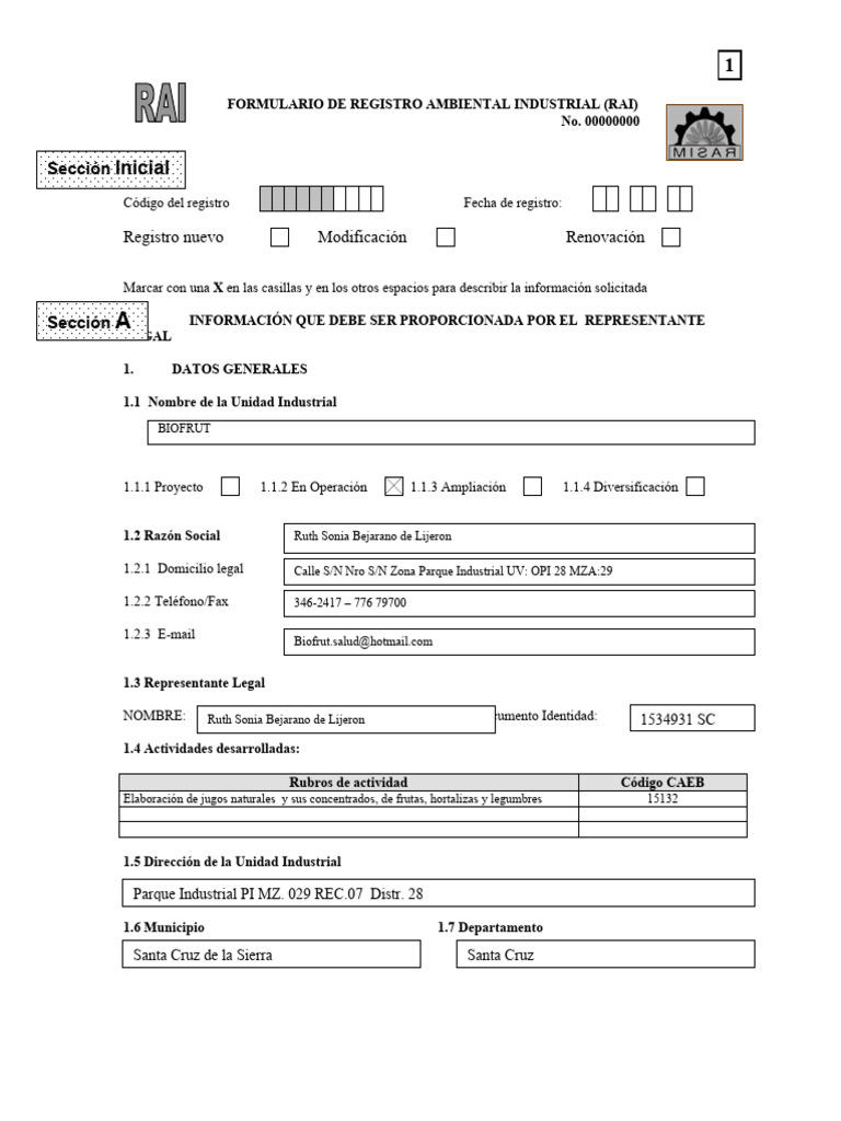 Formulario Rai | PDF