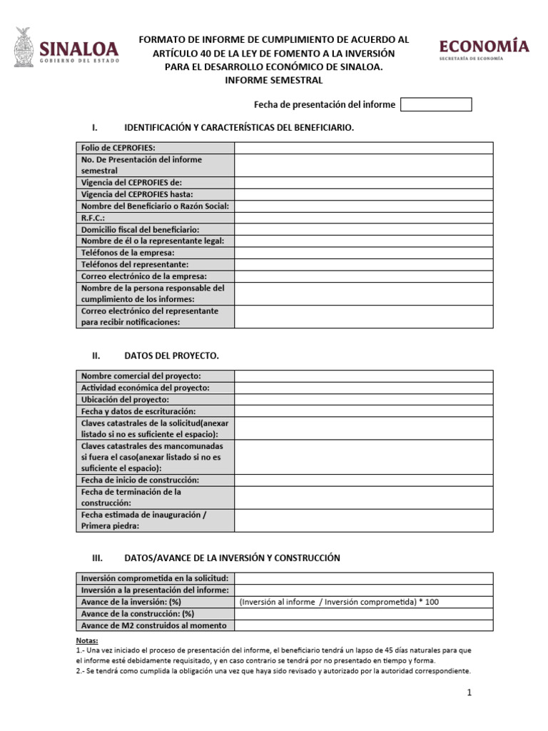 Informe Semestral Nuevo Formato | PDF