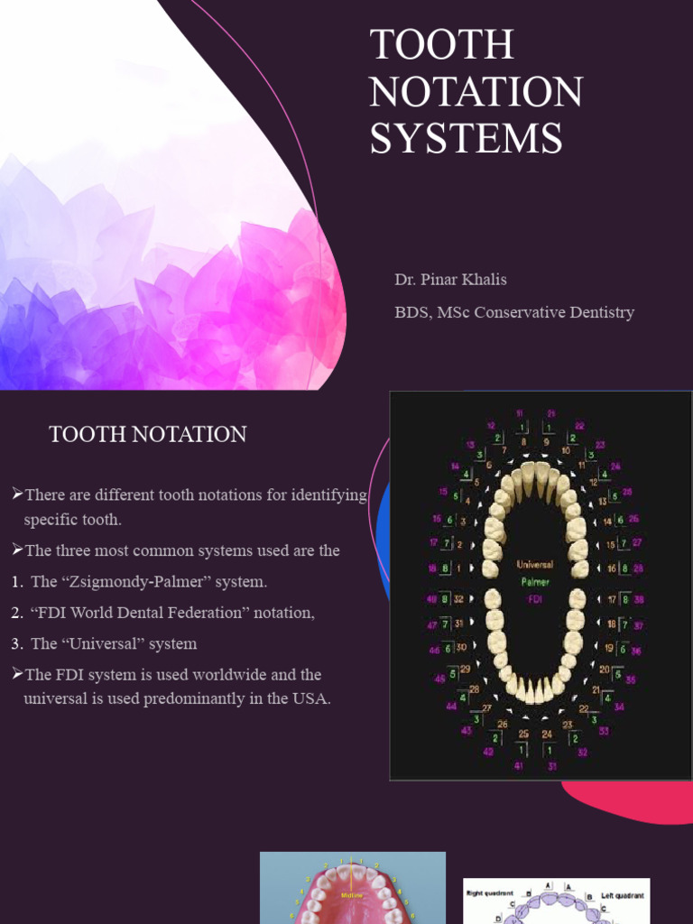 Lec. 3 Tooth Notation | PDF | Mouth | Dentistry Branches