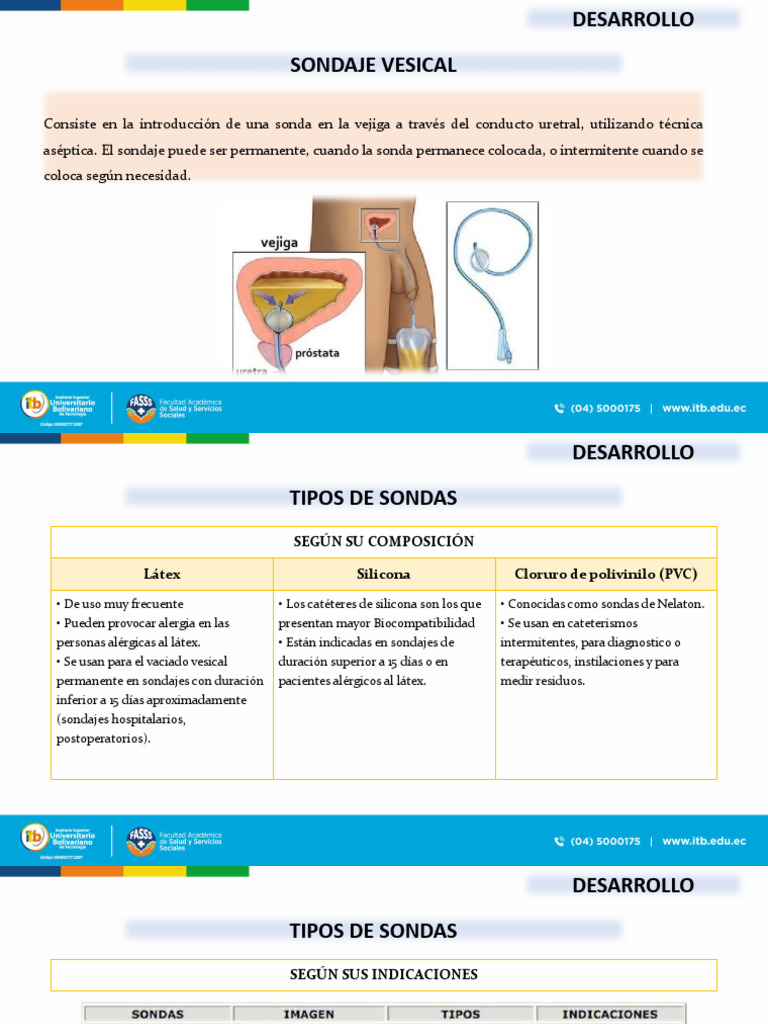Tipos Y Cuidados De Sondas Vesicales Pdf Especialidades Medicas
