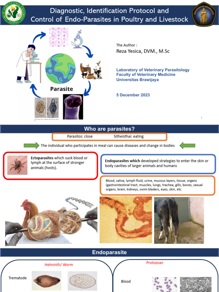 Endoparasite Reza Yesica FVM UB 2023 | PDF