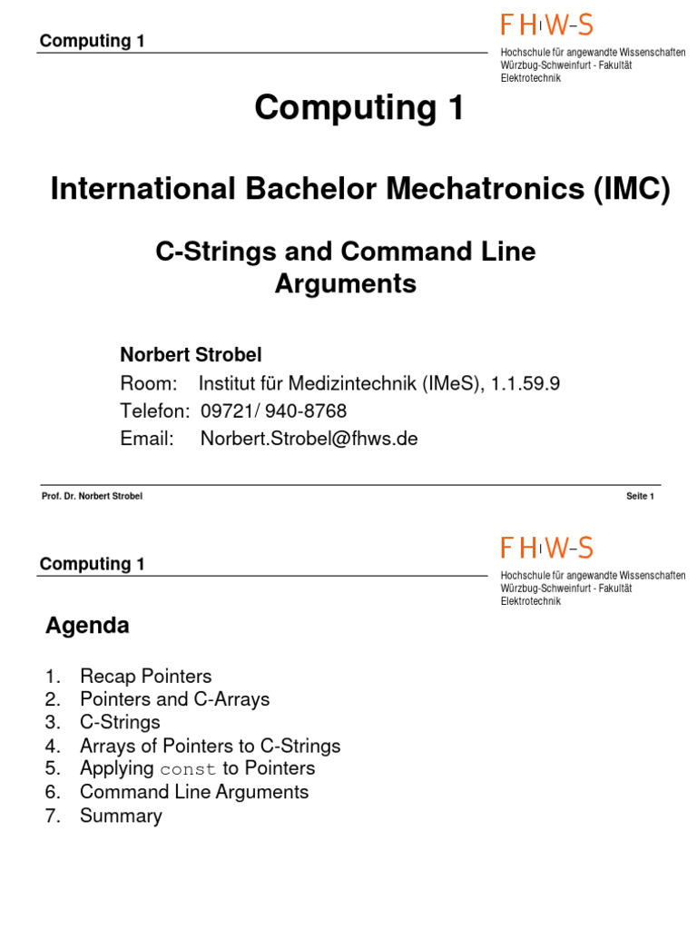 C-Strings and Command Line Arguments | PDF