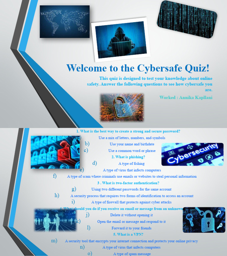 Cyber Safety | PDF | Social Science | Computers