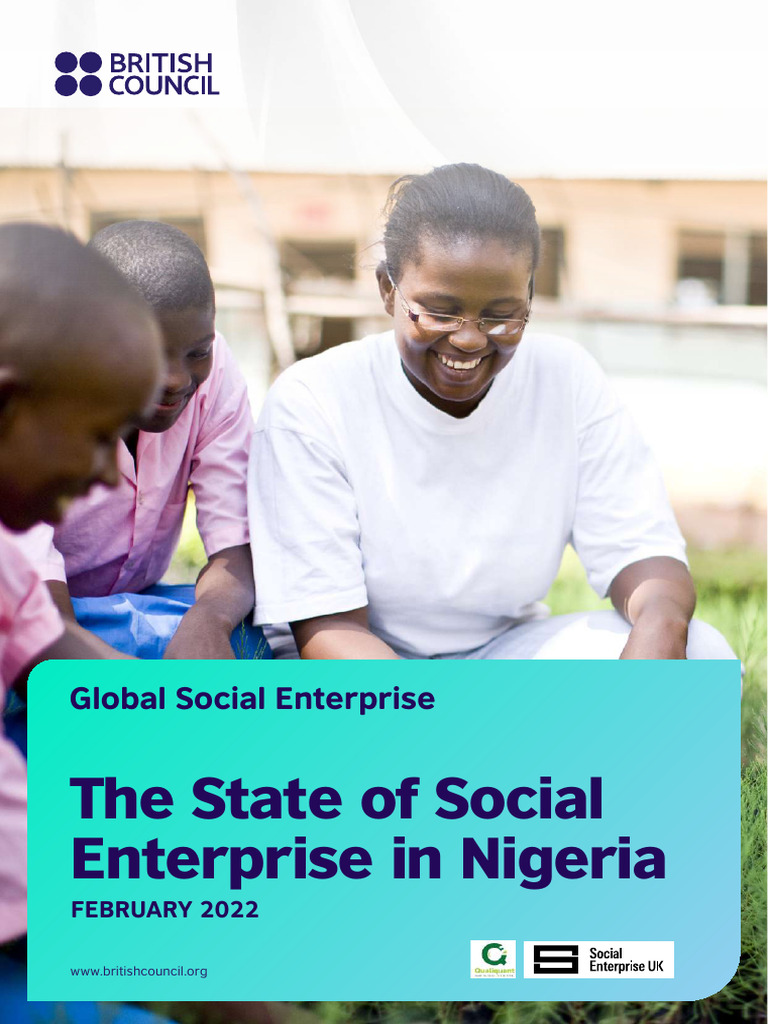 State of Social Enterprise in Nigeria | PDF