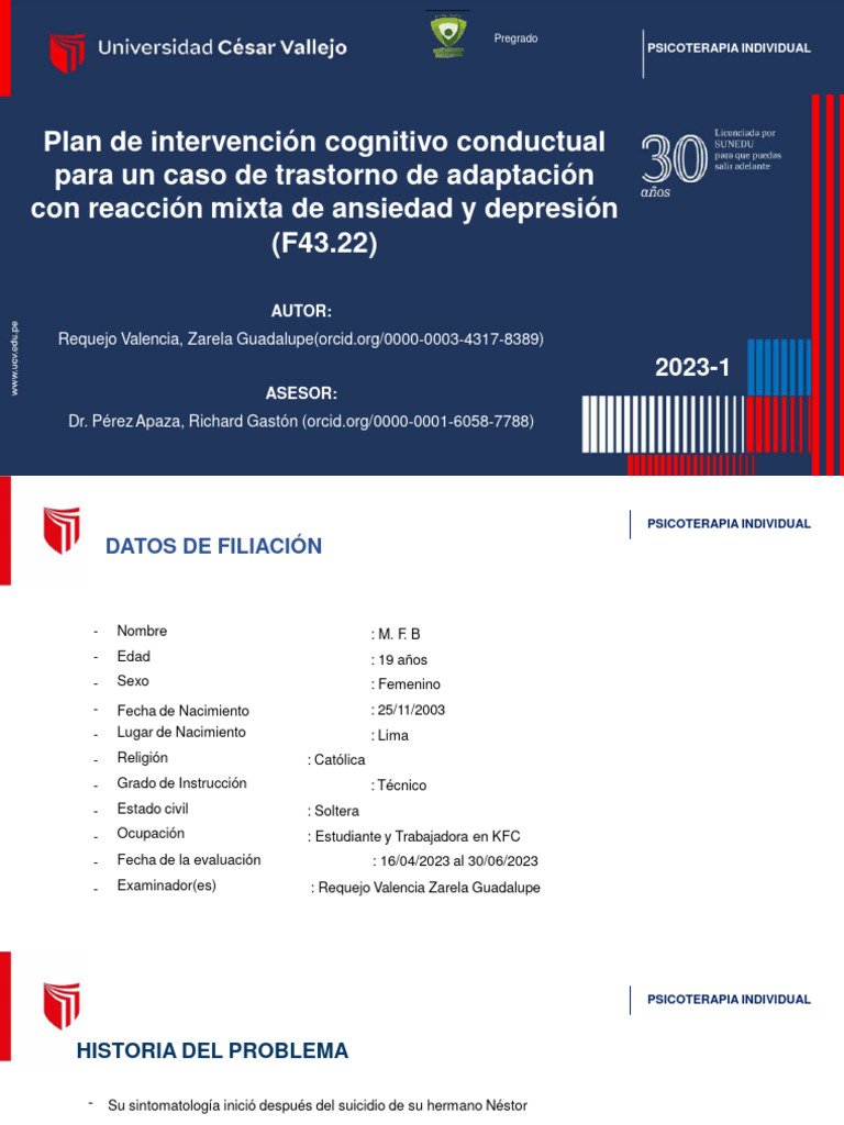 Presentación Ps Individual | PDF | Las emociones | Suicidio