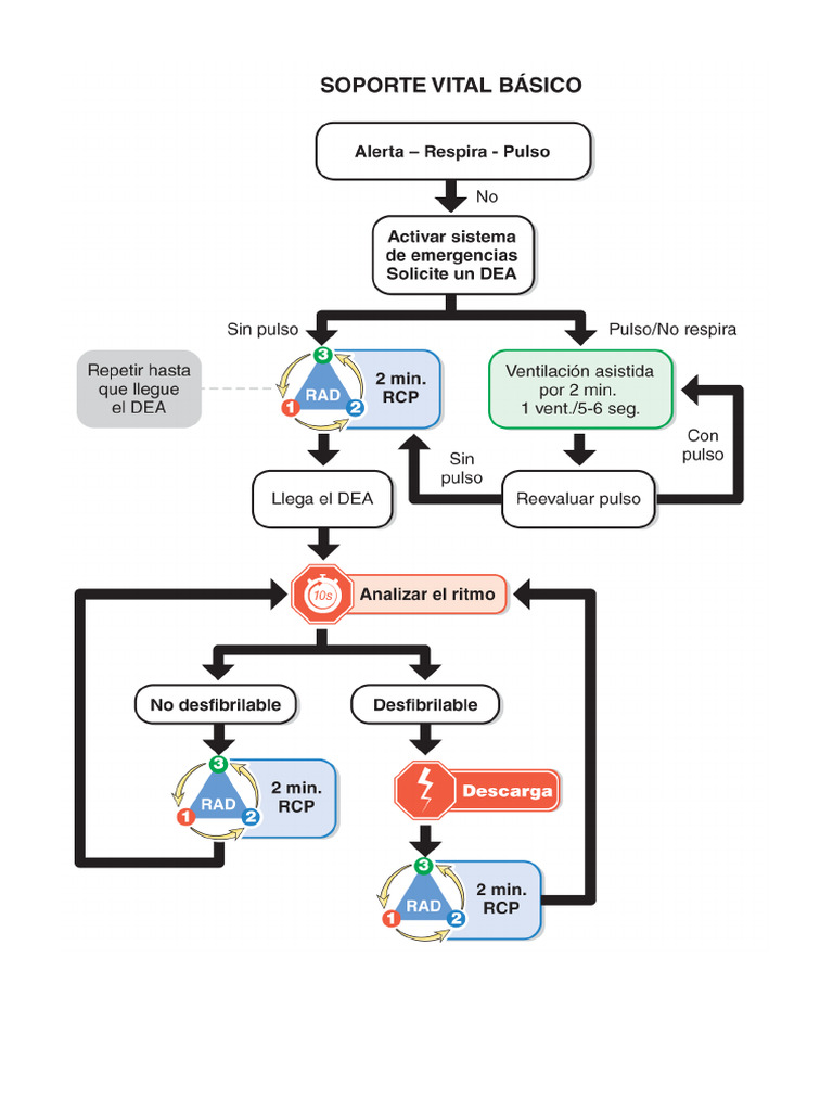 Algoritmos Acls Unidos | PDF