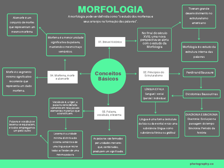 Mapa Mental - Morfologia | PDF