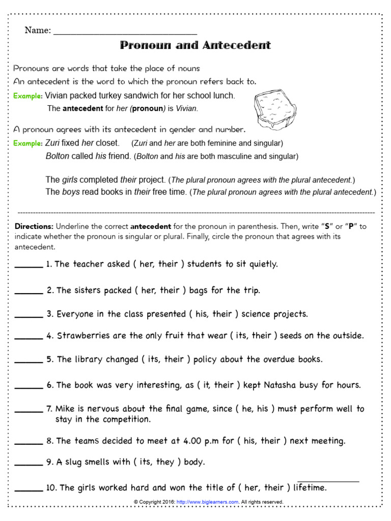 Pronoun and Antecedent 3 | PDF | Language Arts & Discipline