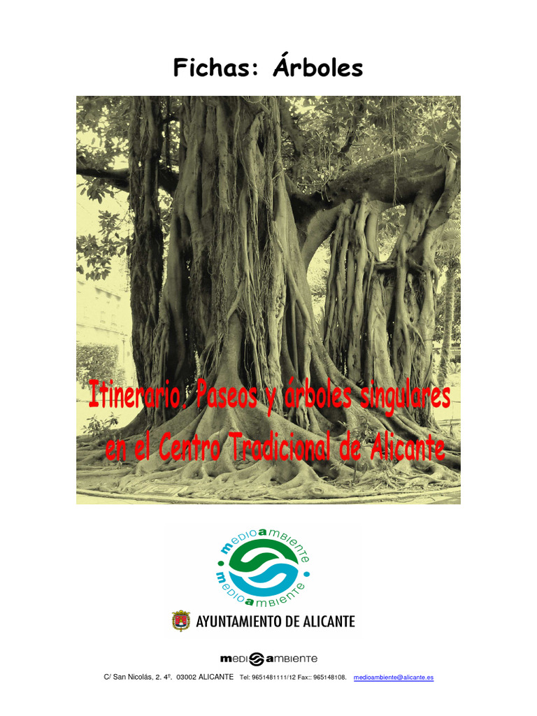 Senderos Centro Arboles | PDF