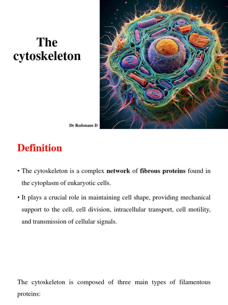 The Cytoskeleton | PDF