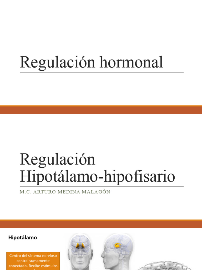 Regulación Hormonal | PDF