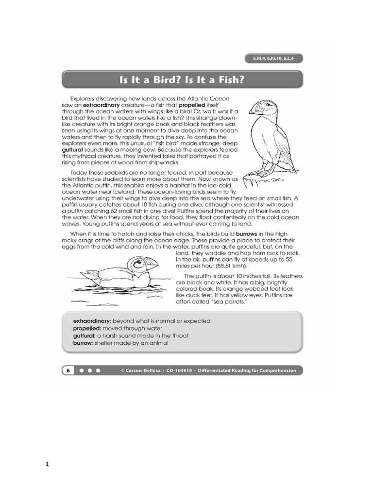 Differentiated Reading for Comprehension, Grade 6 (2) | PDF