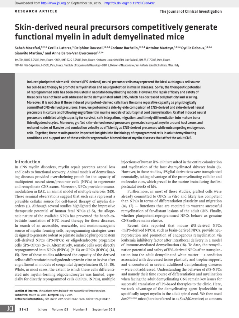 Skin-Derived Neural Precursors | PDF