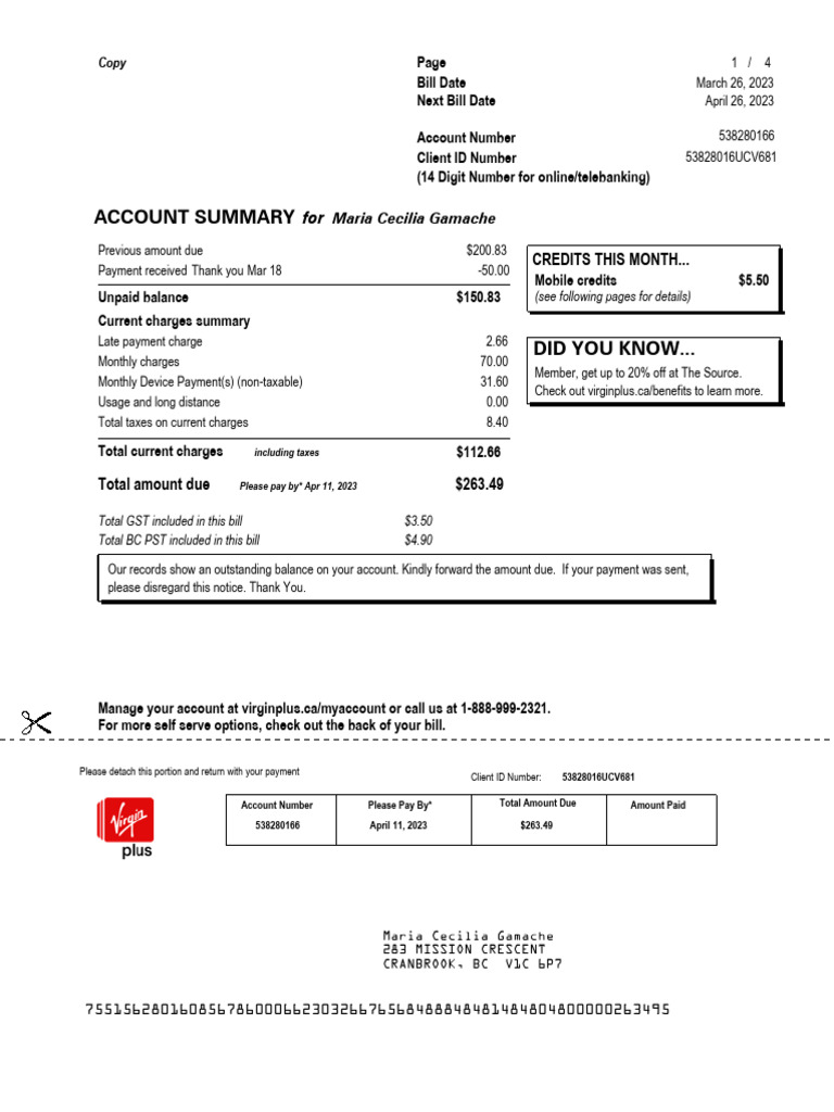 Account Summary: Credits This Month.. | PDF