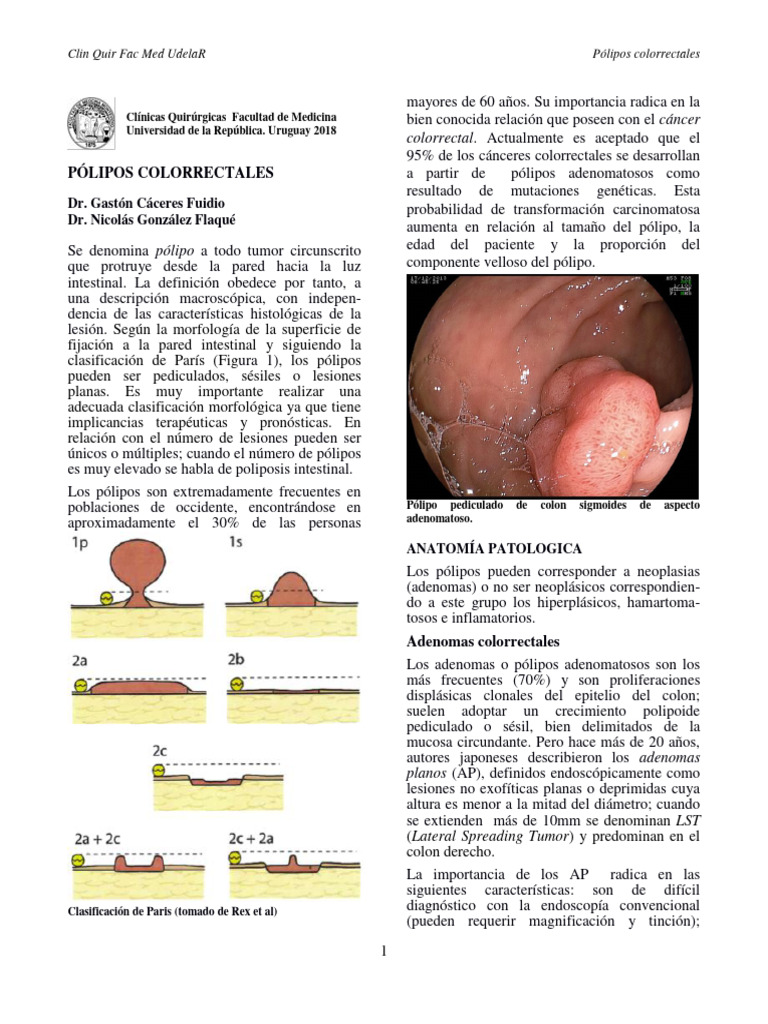 Polipos Colorrectales | PDF | Cáncer colonrectal | Causas de la muerte