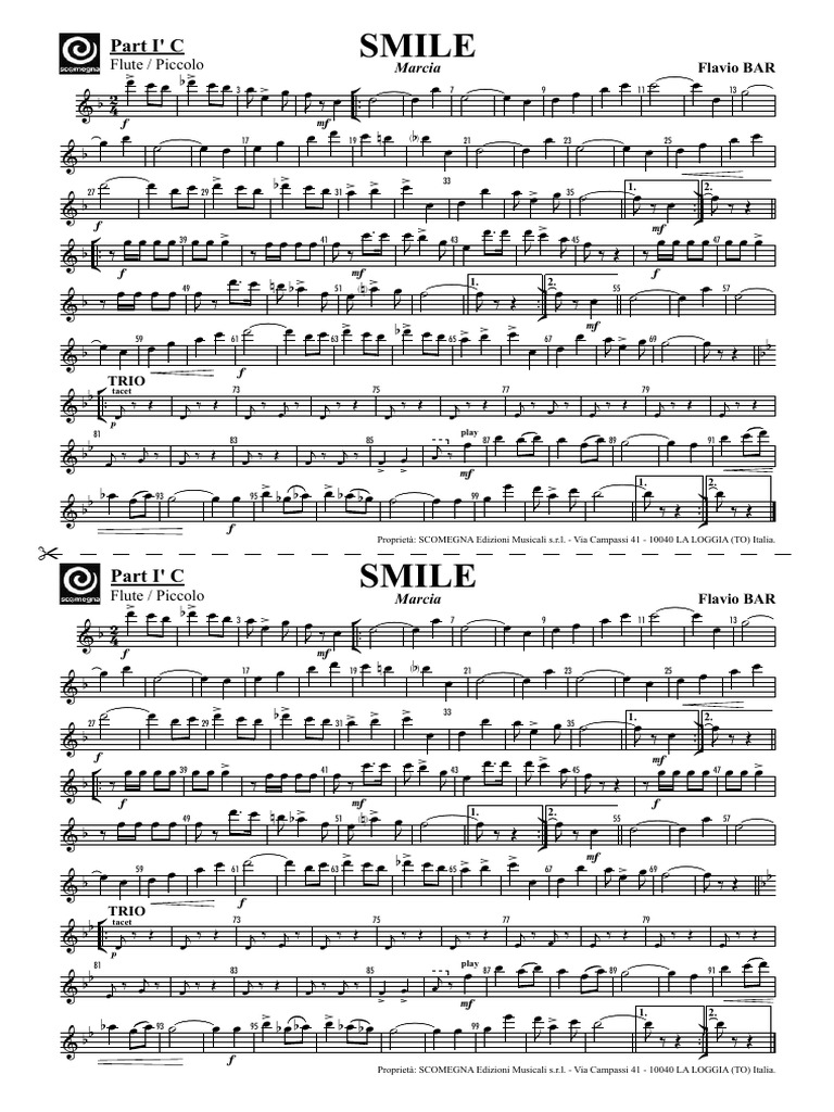 SMILE Parts | PDF