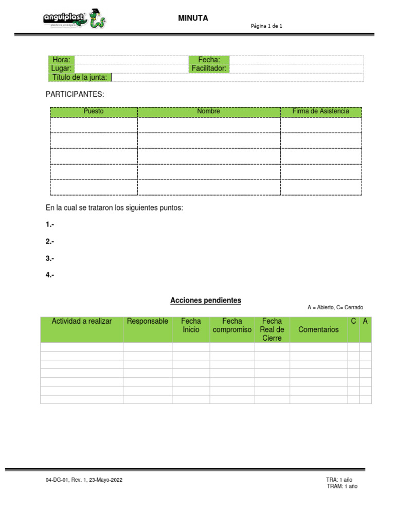 Minuta de Reunión | PDF