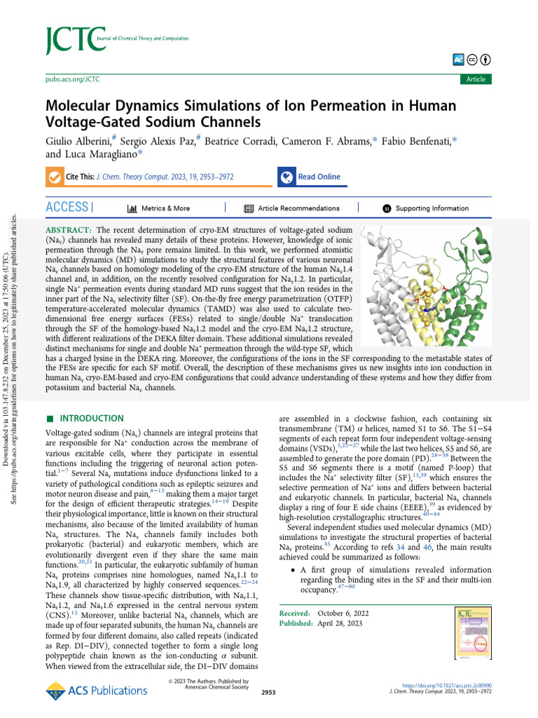 Ion Permeation in Human Sodium Channels | PDF