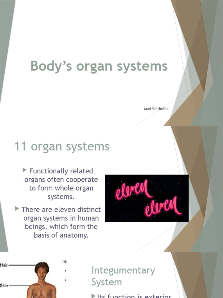 011 Organ Systems | PDF | Human Body | Endocrine System