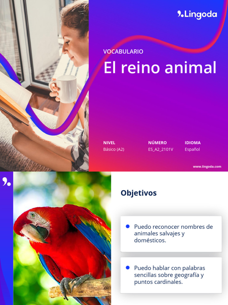 a2!2!021 Lingoda Spanish the Animal Kingdom | PDF