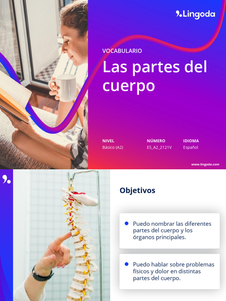 Vocabulario de partes del cuerpo en español | PDF